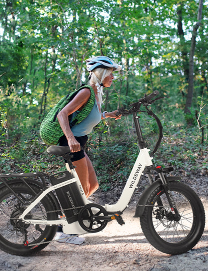 WILDEWAY Bikes: Buy High Quality Fat Tire Electric Bike Online