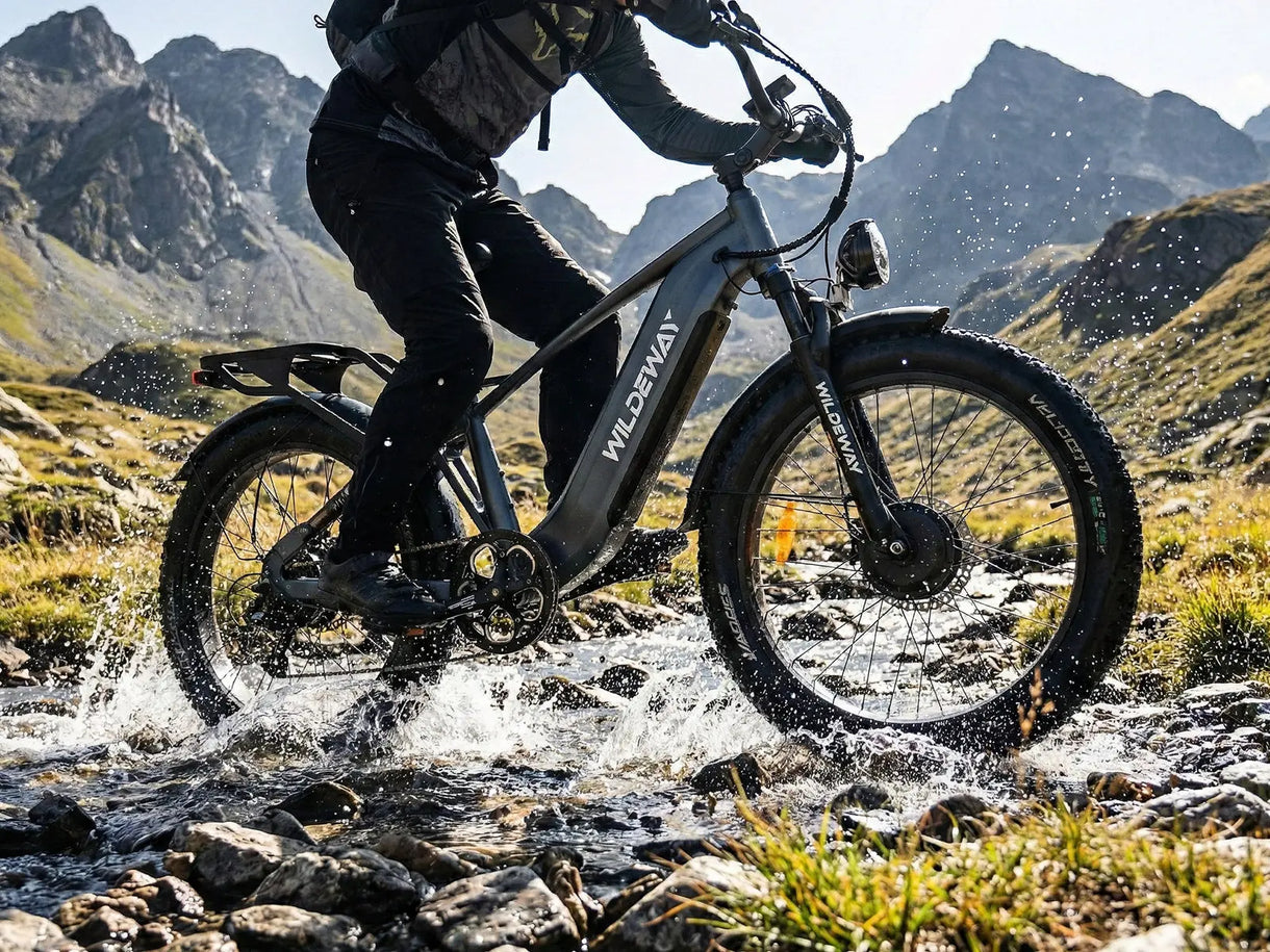 26*4.0" All-Terrain Fat-tire Ebike with 2600W Dual Motor | Wildeway ...