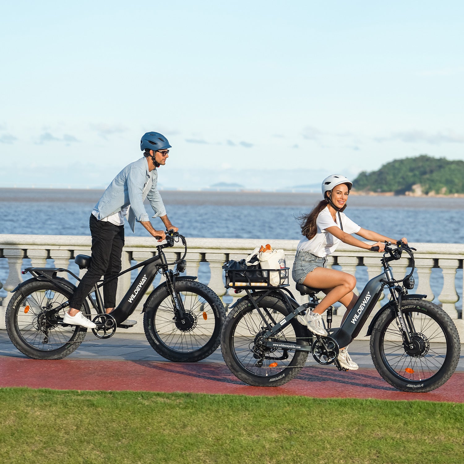 WILDEWAY Bikes: Buy High Quality Fat Tire Electric Bike Online