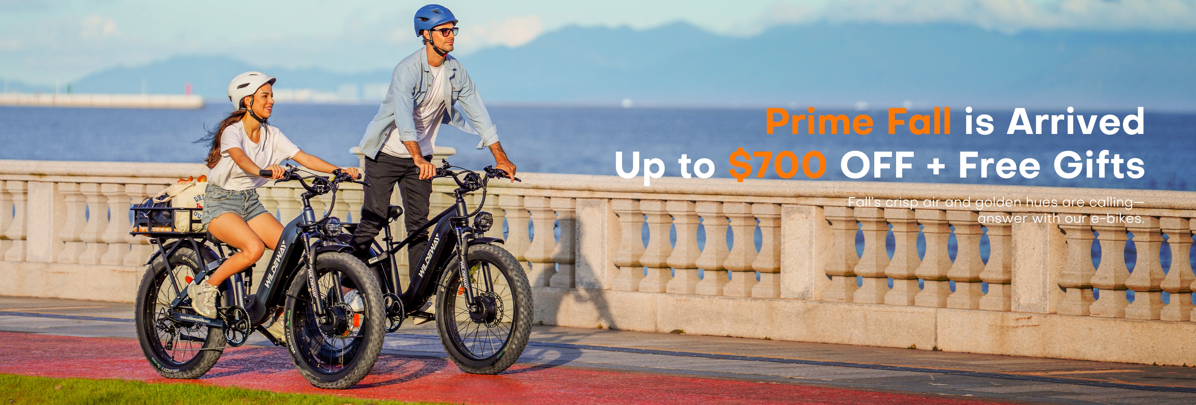 WILDEWAY Bikes: Buy High Quality Fat Tire Electric Bike Online