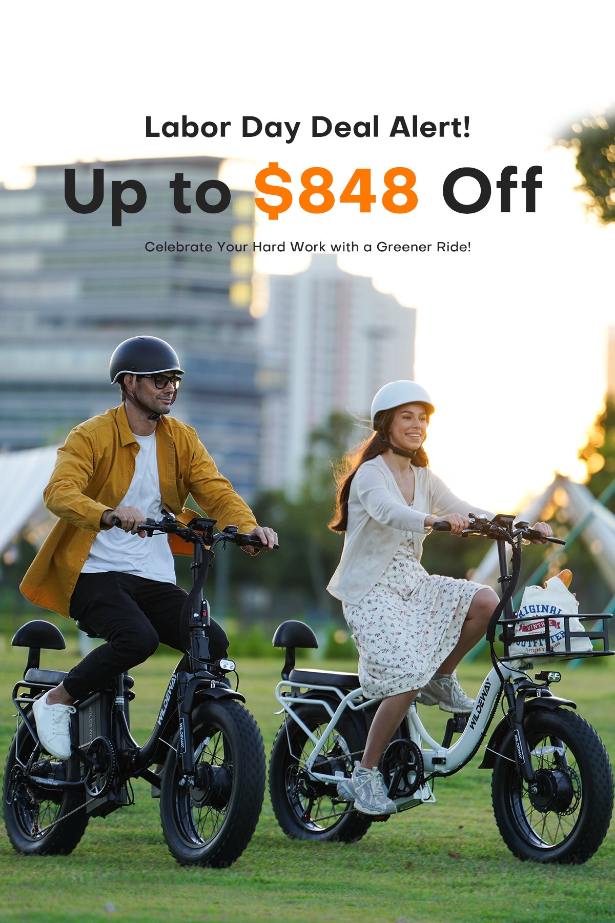 WILDEWAY Bikes: Buy High Quality Fat Tire Electric Bike Online