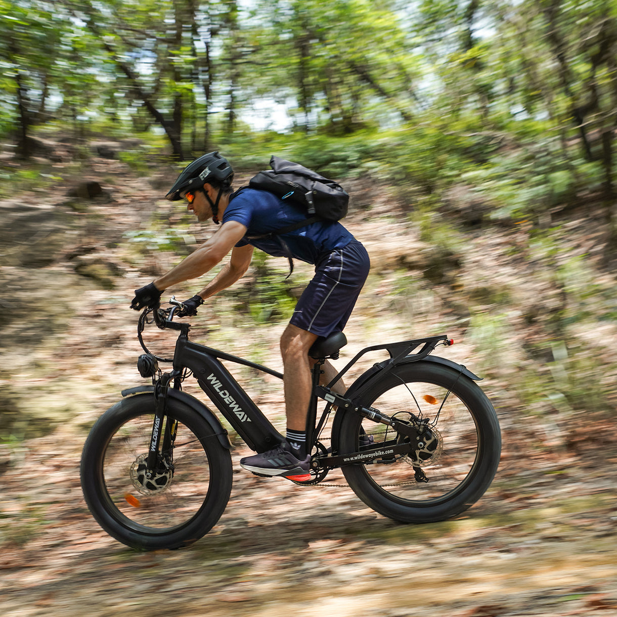 26*4.0" All-Terrain Fat-tire Ebike with 2600W Dual Motor | Wildeway ...