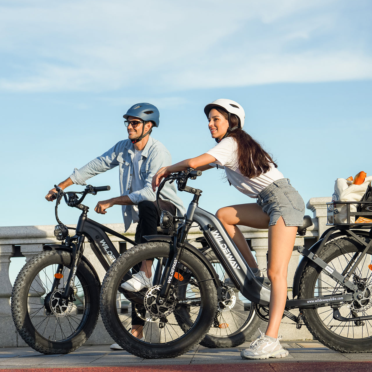 WILDEWAY Bikes: Buy High Quality Fat Tire Electric Bike Online