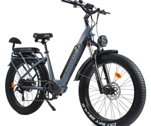 WILDEWAY Bikes: Buy High Quality Fat Tire Electric Bike Online